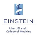 Clinical Interviewer - Albert Einstein College of Medicine | Bronx, NY