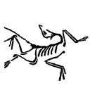 Women's Apparel Design Co-Op Student - Arc'teryx | North Vancouver, BC