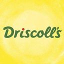 Engineering Graduate - Technical Department - costagroup | Australia