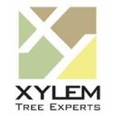 Aerial Lift Trimmer - Alcoa, TN - Xylem Tree Experts | Alcoa, TN