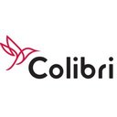 Institute Product Owner/Business - Colibri Group | Remote