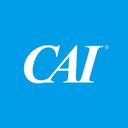 AI Technical Capability Owner - CAI | Remote