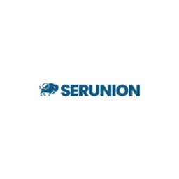 100 empleos de Serunion empleo | Bolsa de Indeed