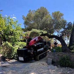 Chauffeur Grue Auxiliaire : plus de 600 emplois (21 juin 2026) | Indeed