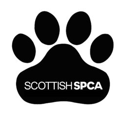 Work, jobs in Ardendrain (with Salaries) | Indeed United Kingdom