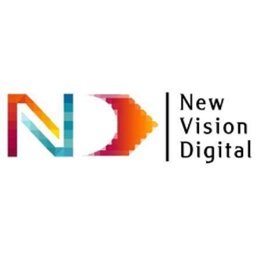 New Vision Digital Pvt Ltd employment and reviews | SimplyHired