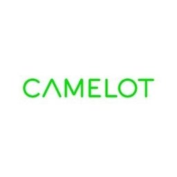 Camelot Group Logo Camelot Management Consultants