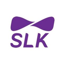Working at SLK SOFTWARE: What to know before applying | Indeed.com