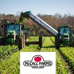 192 McCall Farms Reviews - Working at McCall Farms | Indeed.com
