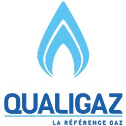Qualigaz Logo Gasheizungen: Studie: 90 Prozent Des Gasnetzes Sind