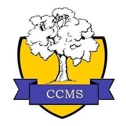 Licensed Practical Nurse Salaries in the United States for CCMS ...