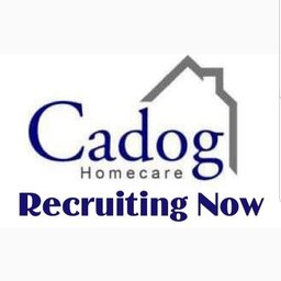 Apprenticeship 17 Years Old Jobs - 2023 | Indeed.com