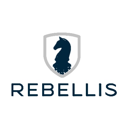 Working at Rebellis Development Group: Employee Reviews | Indeed.com