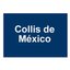Empleo e información laboral de COLLIS DE MEXICO S DE RL DE CV | Indeed.com