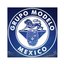 Giant Motors Latinoamerica SA. DE C.V. | Indeed.com