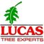 Lucas Tree Expert Co, Inc Jobs and Careers | Indeed.com