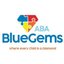 Working at Blue Gems ABA: 106 Reviews | Indeed.com
