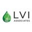 LVI Associates Careers and Employment | Indeed.com