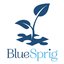 Working at BlueSprig: 251 Reviews | Indeed.com