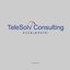 TeleSolv Consulting Careers and Employment | Indeed.com