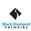 Working at Black Diamond Networks: Employee Reviews | Indeed.com