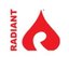Radiant Systems Inc Careers and Employment | Indeed.com