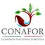 Empleo e información laboral de Conafor | Indeed.com