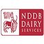Working at NDDB Dairy services: Employee Reviews | Indeed.com