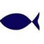 Blue Fish Pediatrics Careers and Employment | Indeed.com