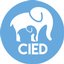 Empleo e información laboral de CIED - Consultoría de Integración ...