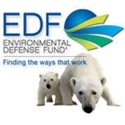Environmental Defense Fund Mission, Benefits, and Work Culture | Indeed.com
