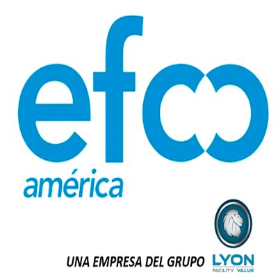 Trabajar en EFCO AMERICA: evaluaciones de empleados | Indeed.com