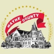 WAYNE COUNTY GOVERNMENT Jobs and Careers | Indeed.com