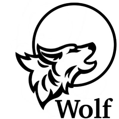 Working at Wolf Logistics: Employee Reviews | Indeed.com