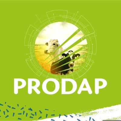 Perguntas e respostas sobre trabalhar na empresa: PRODAP | Indeed.com